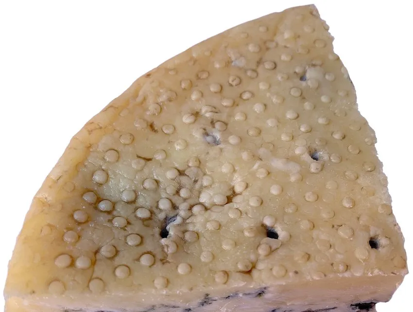 Bleu d'Aoste - Formaggio Erborinato | Vendita Online