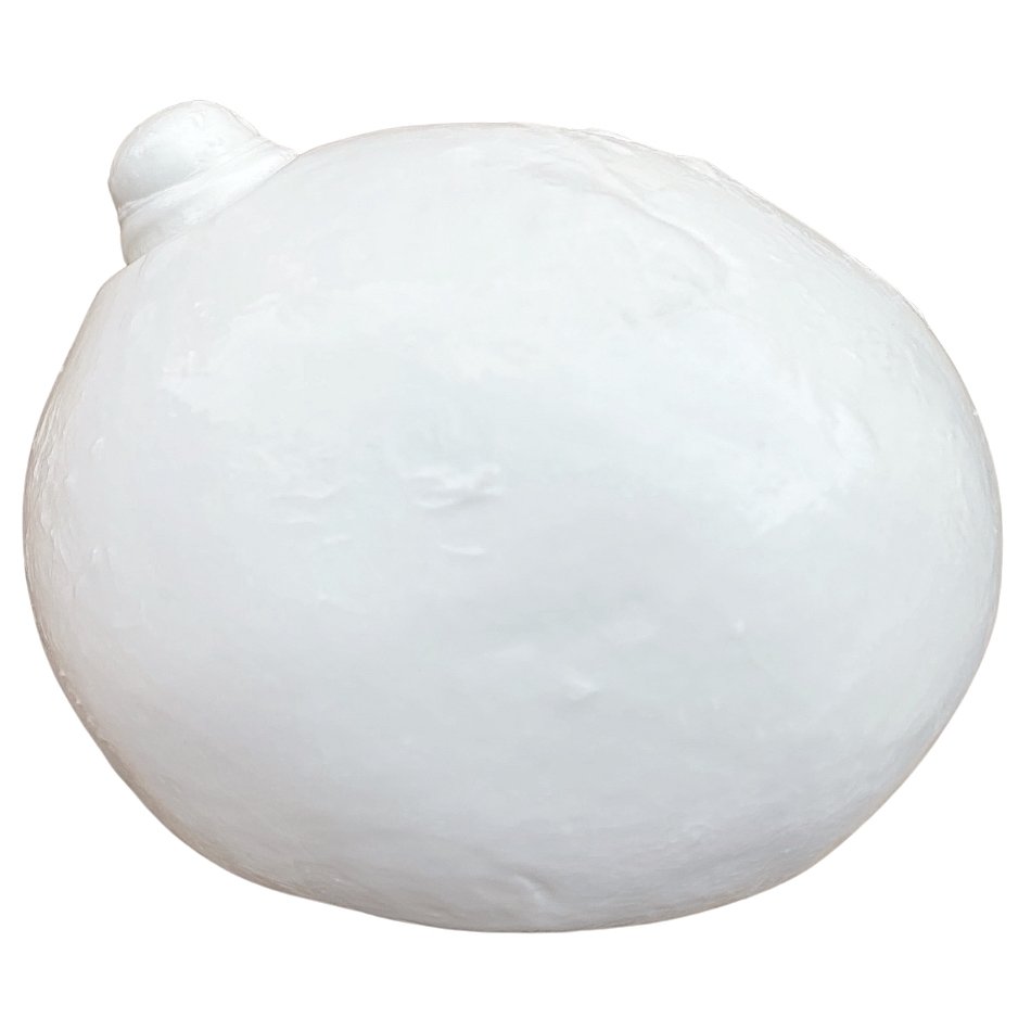 Zizza di Battipaglia - Mozzarella di Bufala Gigante